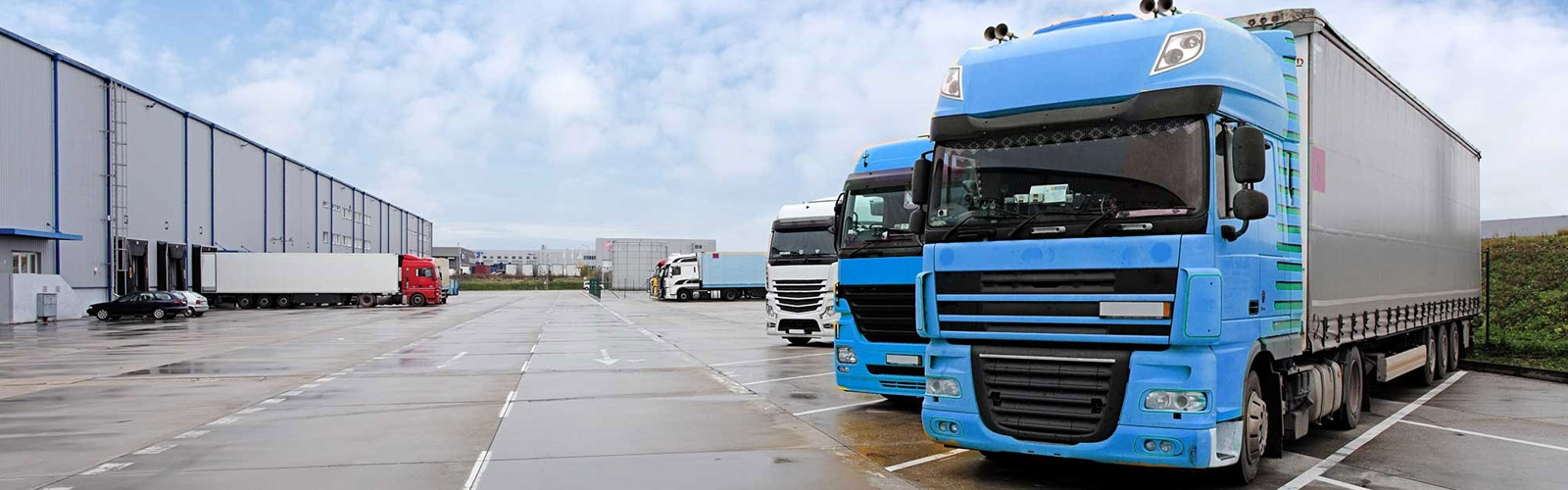 LTC Logistics – Exceeding Expectations